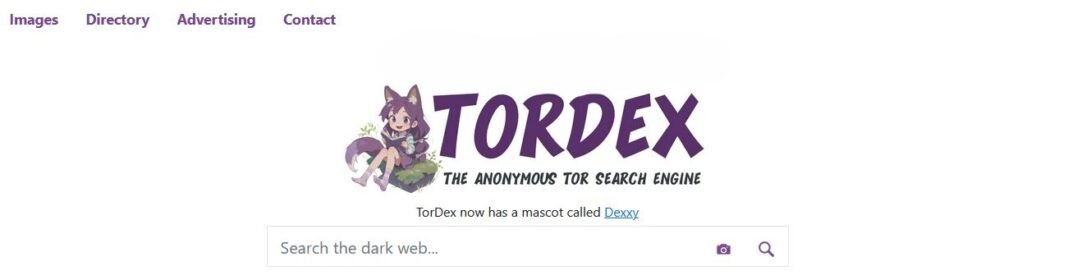 Top 10 Search Engines in the Deep Web and Dark Web - TopDailyBlog